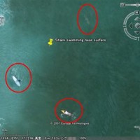 Giant Shark Google Earth Coordinates - The Earth Images Revimage.Org